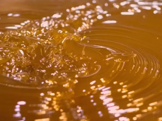 Grease Code Complete Guide - HYMA